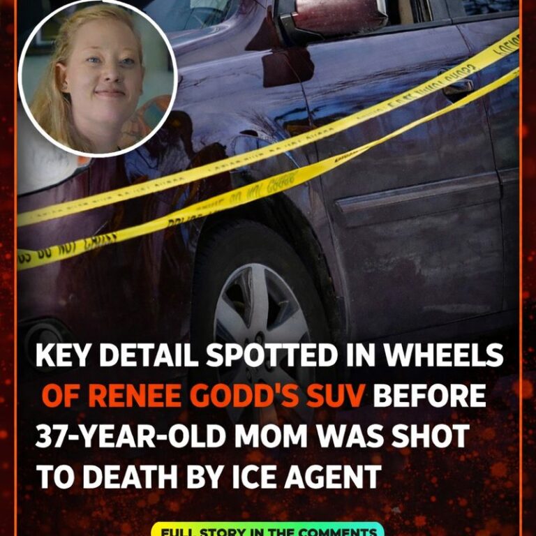 Investigators Identified an Important Detail on the Wheels of Renee ...